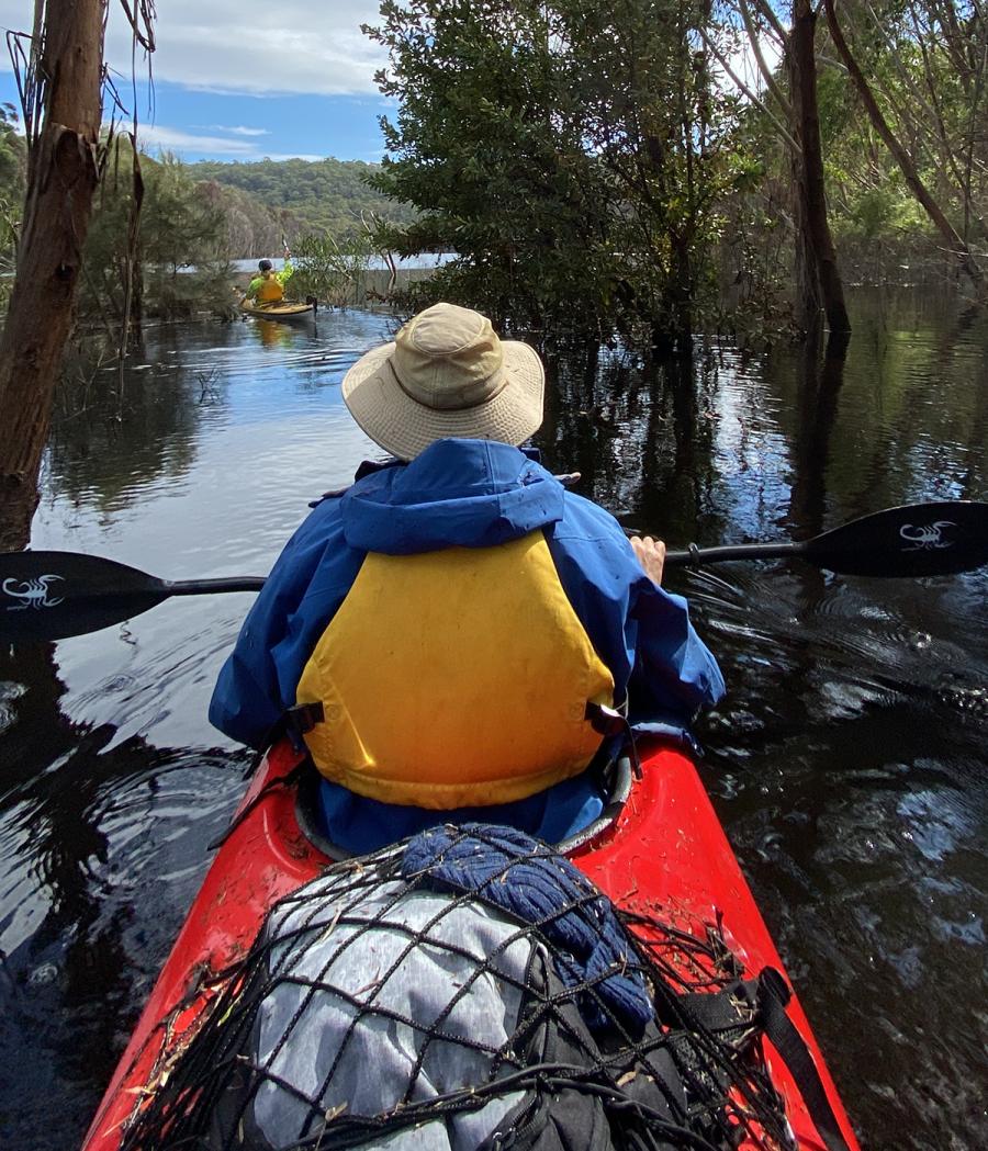 Water experts share insights into unique environment of Thirlmere Lakes | ANSTO
